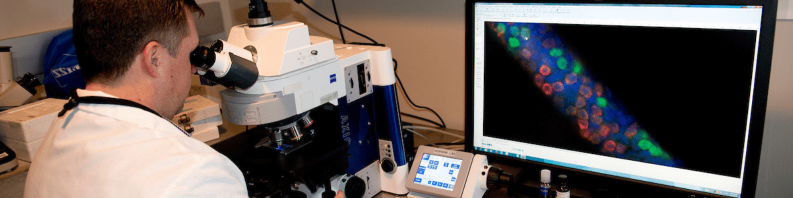 Graduate Pathway | International Pathway | UTSA | University of Texas ...